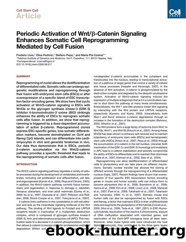 Periodic Activation Of WntÎ² Catenin Signaling Enhances Somatic Cell